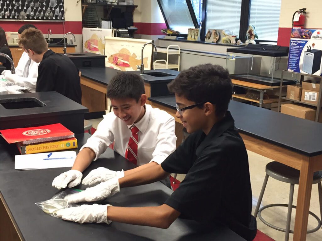 Sepsis in Schools - End Sepsis